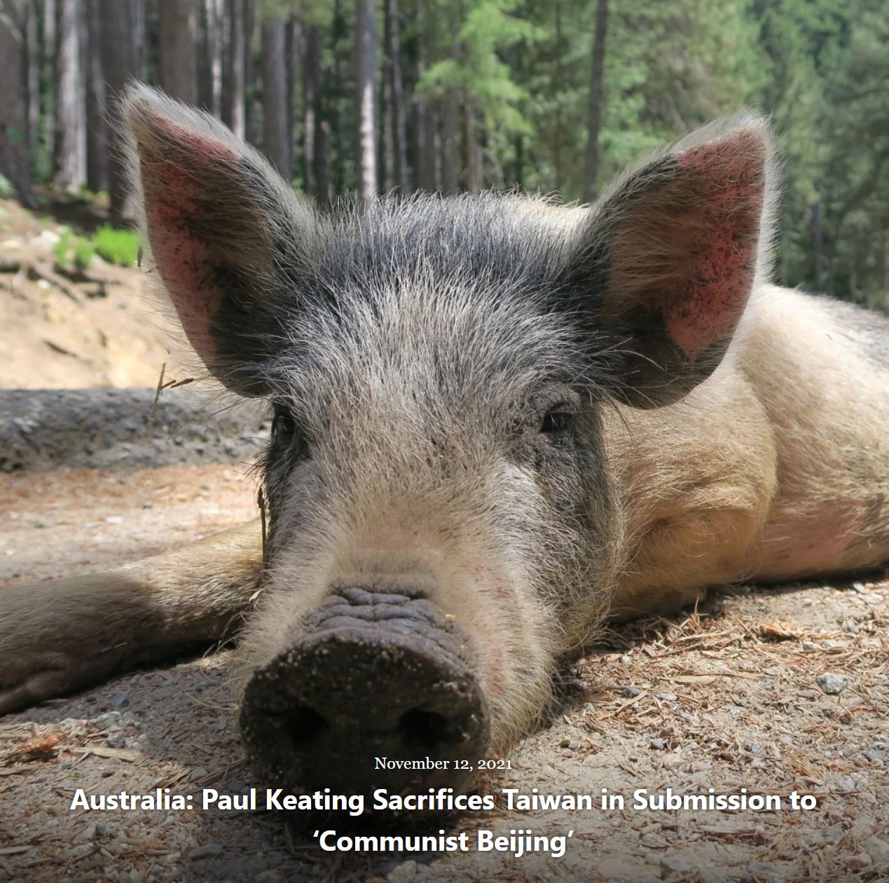 BLOG AUSTRALIA PAUL KEATING SACRIFICES TAIWAN NOV 12 2021 – Allan ...